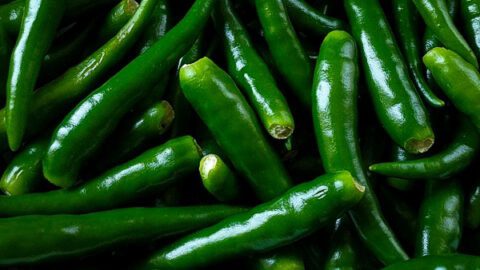 Green chilli - SwiftEZ
